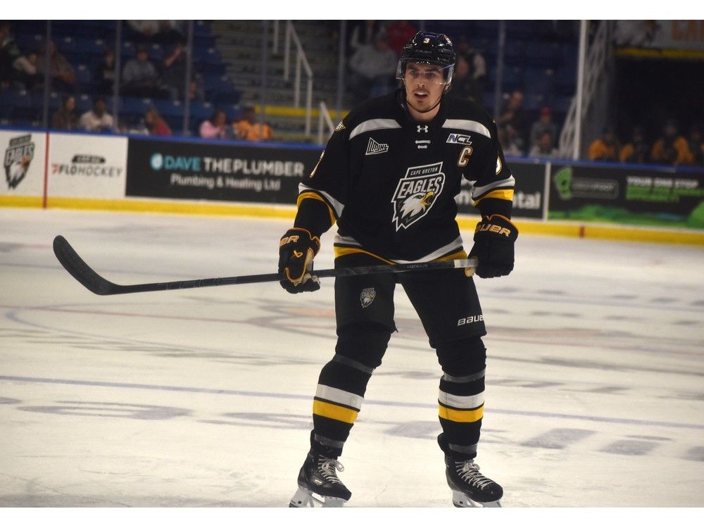Cape Breton Eagles make four deals to open QMJHL trade period | PNI ...
