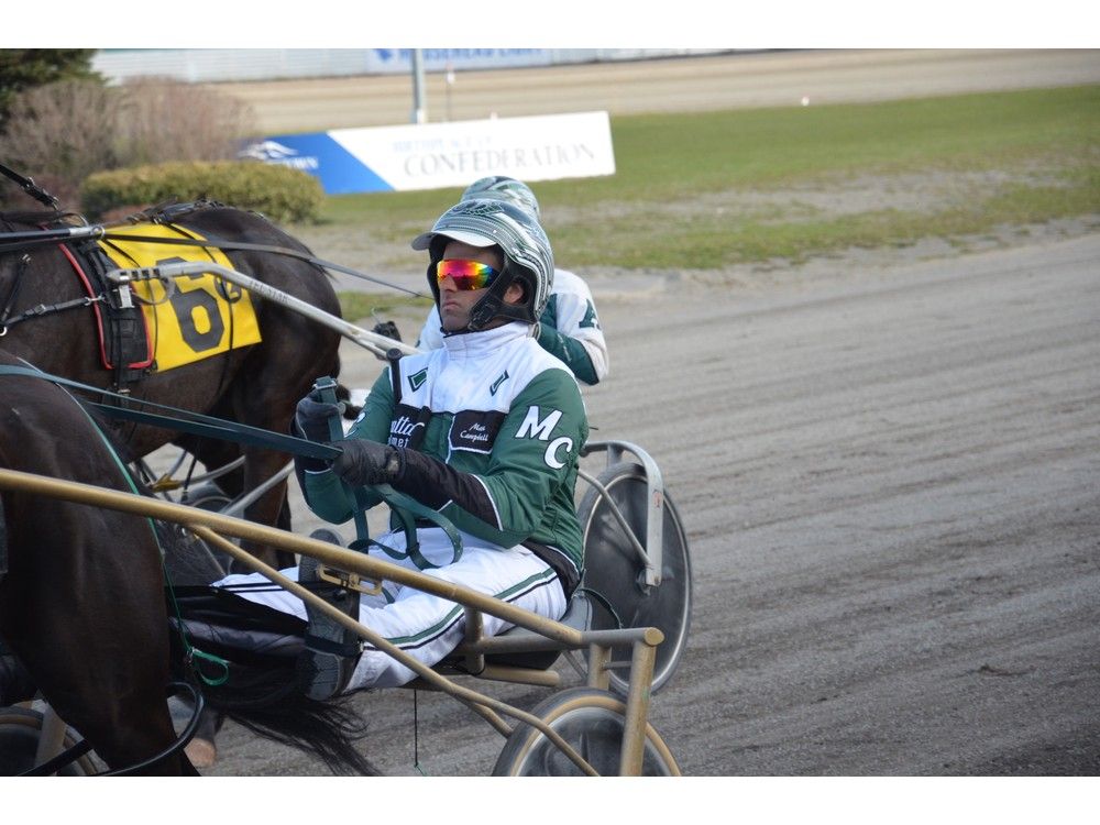 Marc Campbell makes P.E.I. harness racing history | PNI Atlantic News