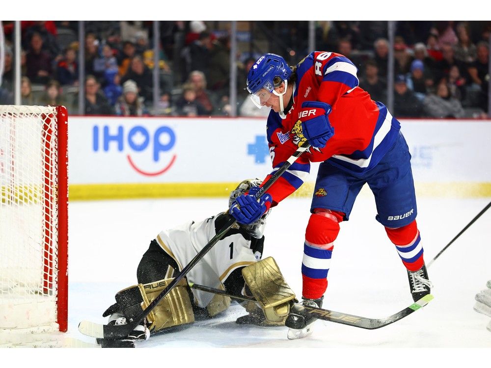 Big second period sends Wildcats past Islanders | PNI Atlantic News