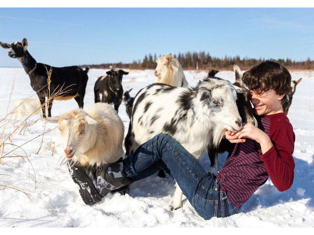 Why parents shouldn't let winter keep kids from playing outside | PNI ...