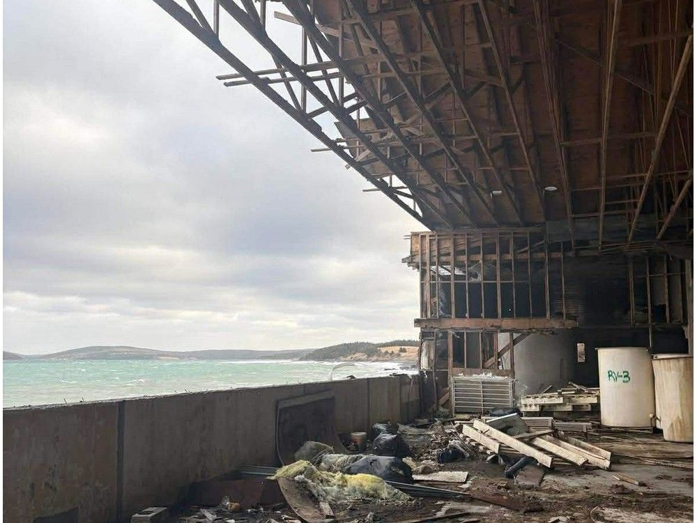 NL government committed to demolishing St. Mary's plant after cleanup ...