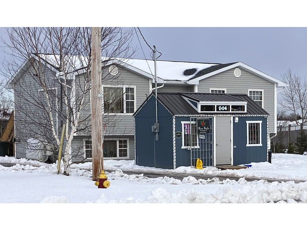 Cannabis law working group disbanded due to tensions | PNI Atlantic News