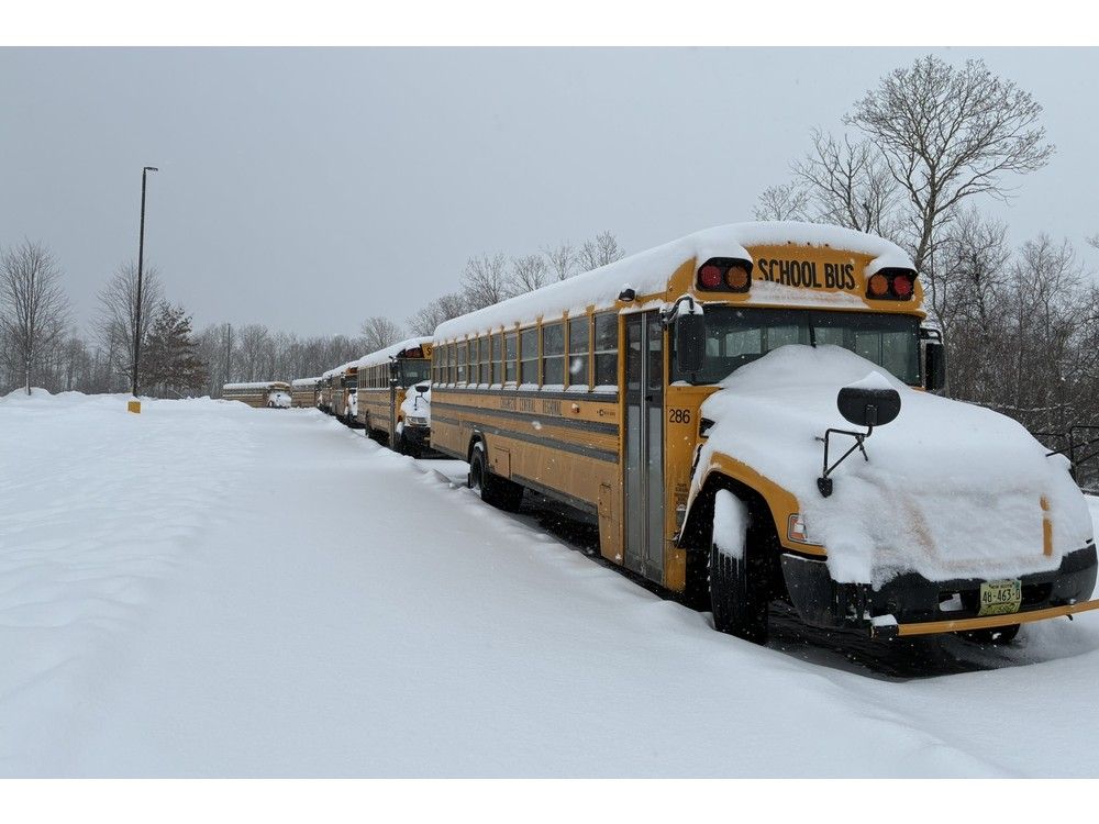 Pictou County snowed in, with up to 40 more cm forecast to come | PNI ...