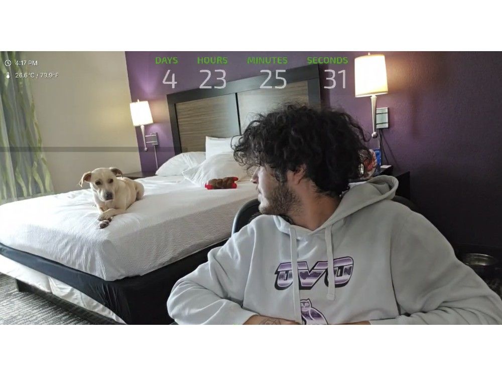 NL man who livestreamed alleged animal cruelty won't get dog back | PNI ...