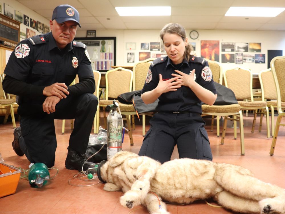 Pet CPR pilot program trains Charlottetown firefighters | PNI Atlantic News