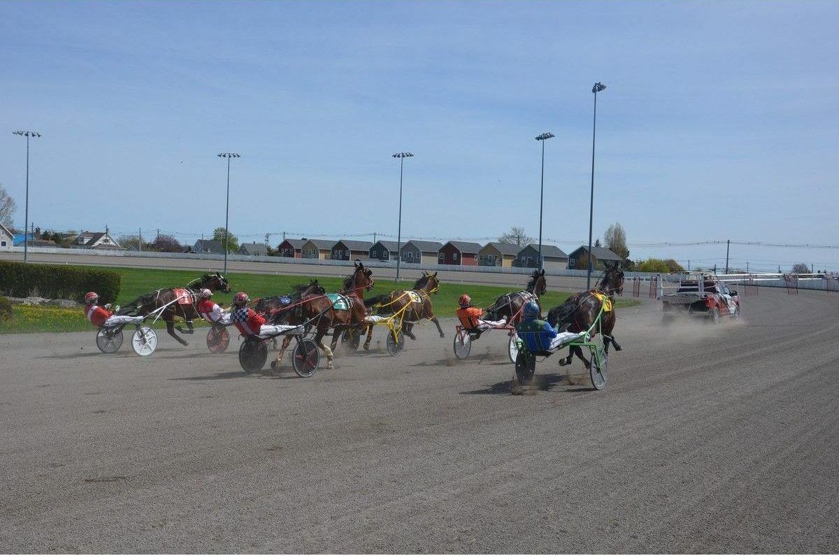 Live harness racing returns to Summerside | PNI Atlantic News