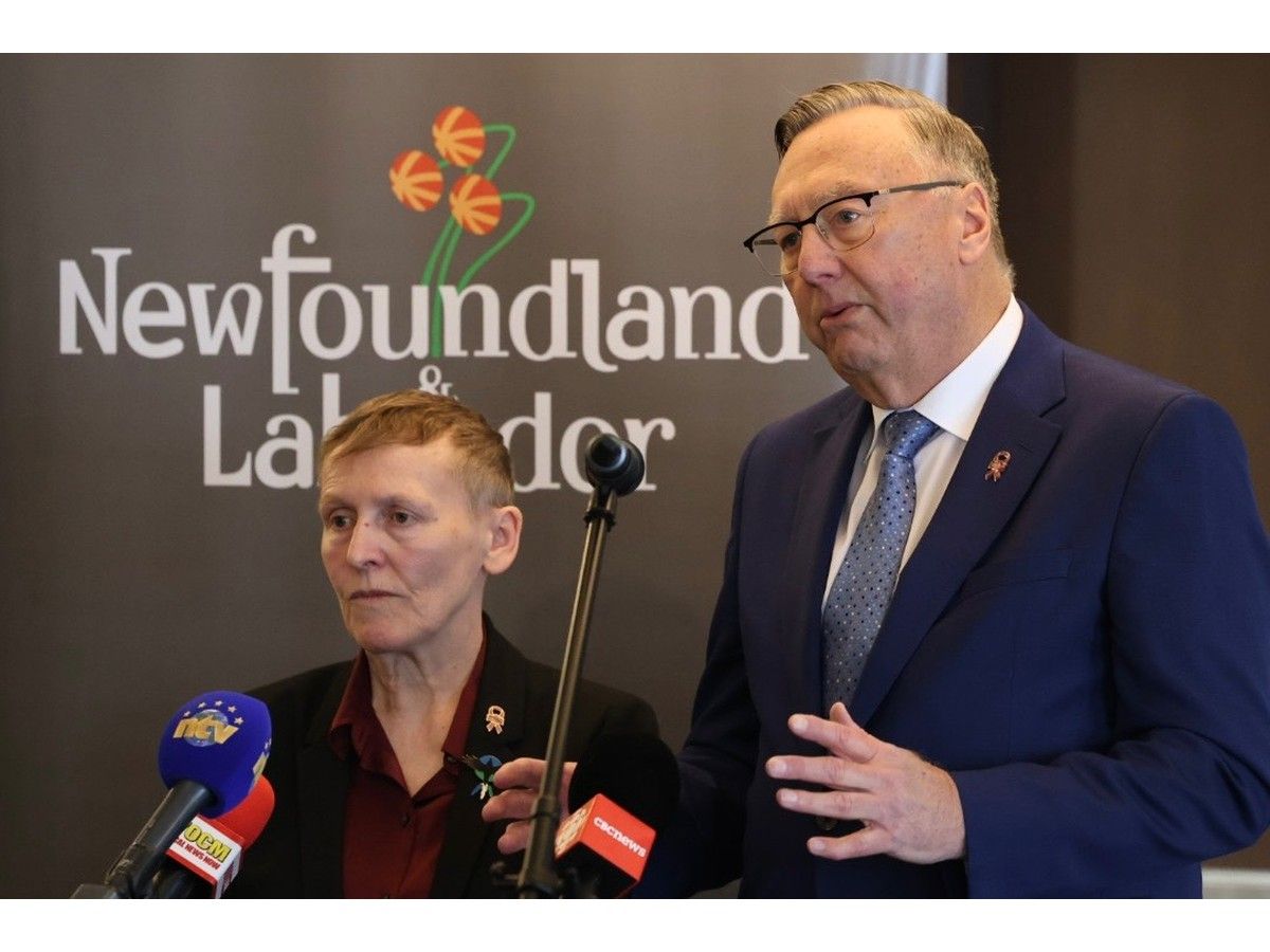 Wakeham Government establishes task force on gender-based violence ...