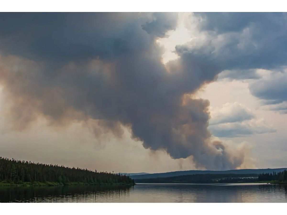 Labrador City in state of emergency as wildfires burn near community ...