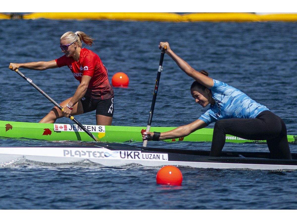 The world is coming to Dartmouth. This is how to get around it | PNI ...