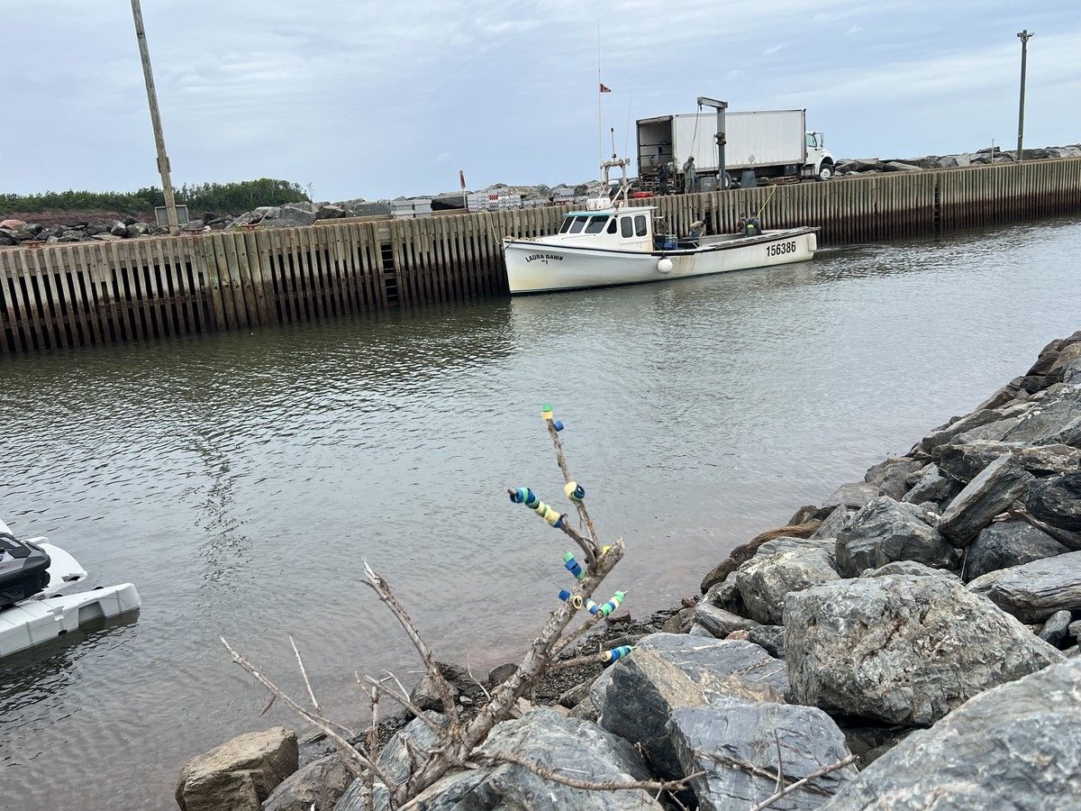 WENDY ELLIOTT: Amazing what you find on the beach | PNI Atlantic News