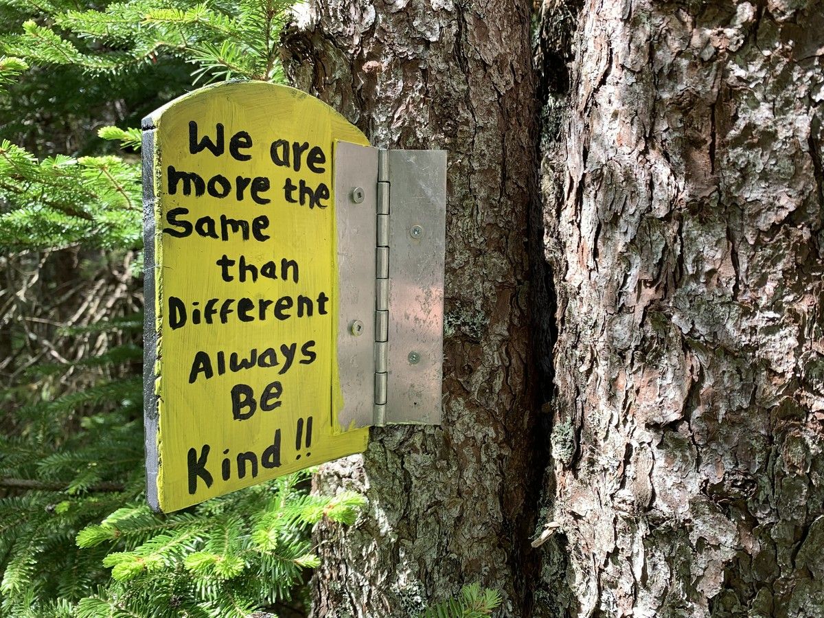 PAM FRAMPTON: Kindness is always an apt prescription | PNI Atlantic News