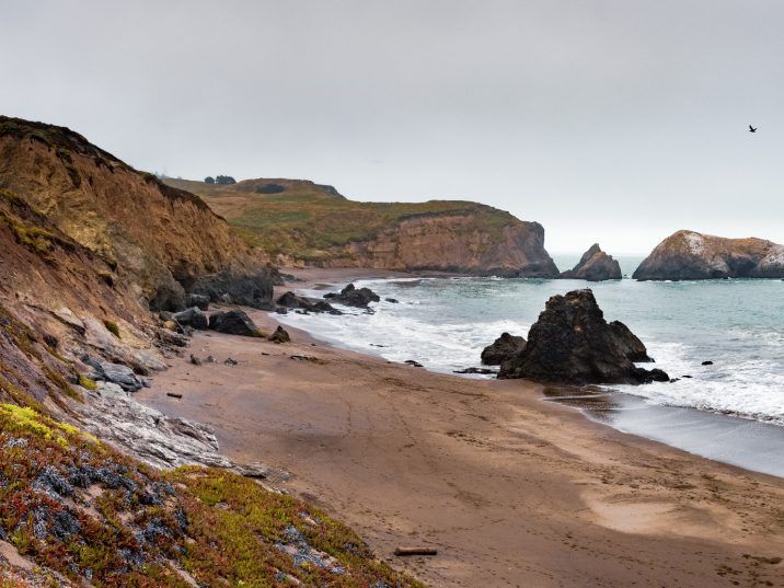 Beach locals call cannabis tour a potential 'death sentence' | The Growthop