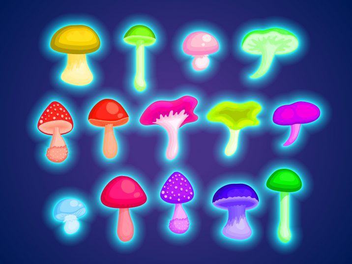 Tripping on ’shrooms? Excellent. These researchers want to hear all ...