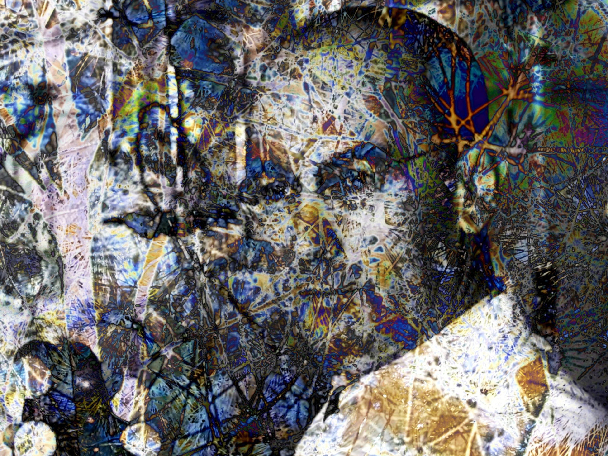 LSD and the bike ride that changed the world | The Growthop