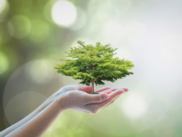 Teens plant a different kind of “trees” to recognize World Environment ...