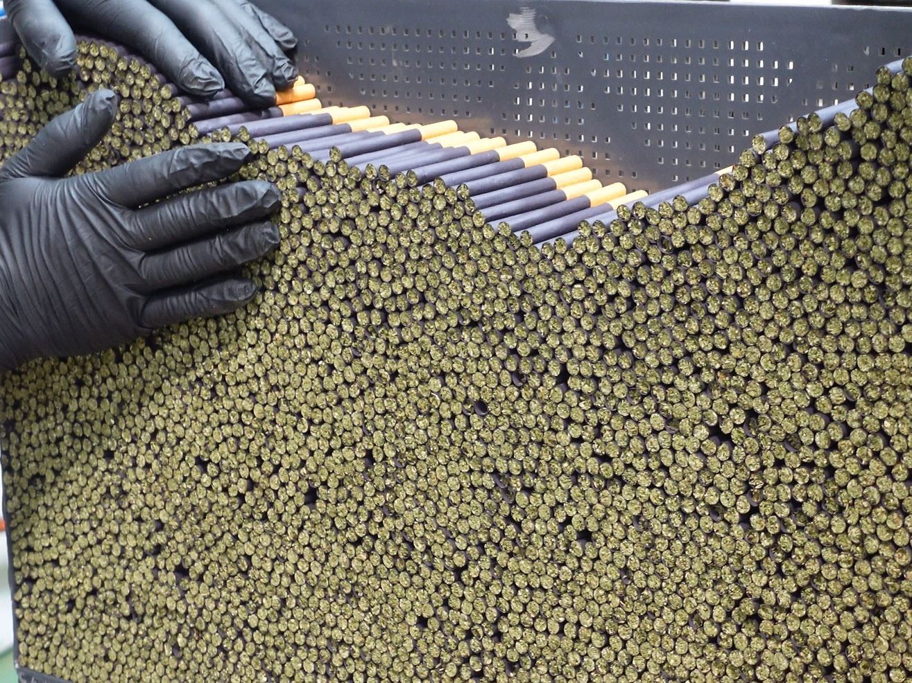 California company to make cannabis paper for 'rolling smokables ...