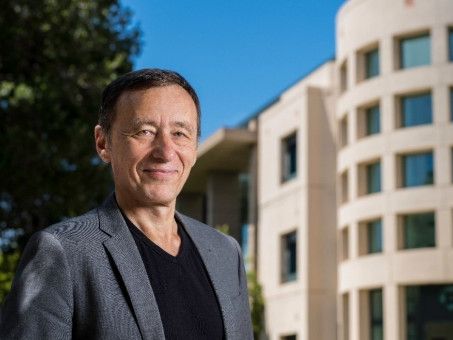 Cannabis-like brain substance may calm seizure intensity, but up memory ...