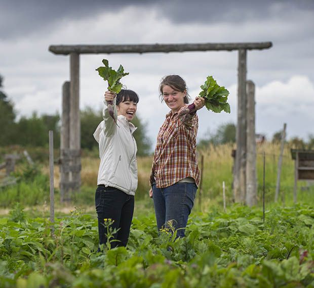 By the Numbers: Produce for the needy at Richmond’s Sharing Farm | The ...