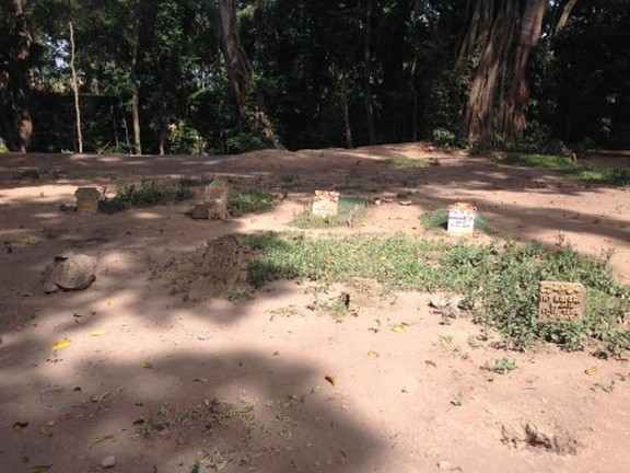 The Cremation Ceremony of the Queen of Ubud, Bali | The Province
