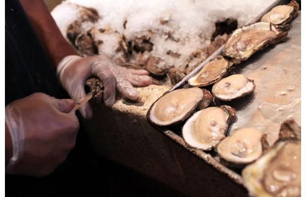 B.C. shellfish farmers fear polluted sea water could ruin oyster and ...