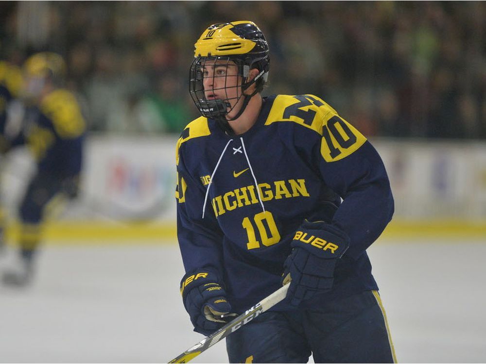 Will Lockwood climbing the Canucks' ranks, excelling with Wolverines ...