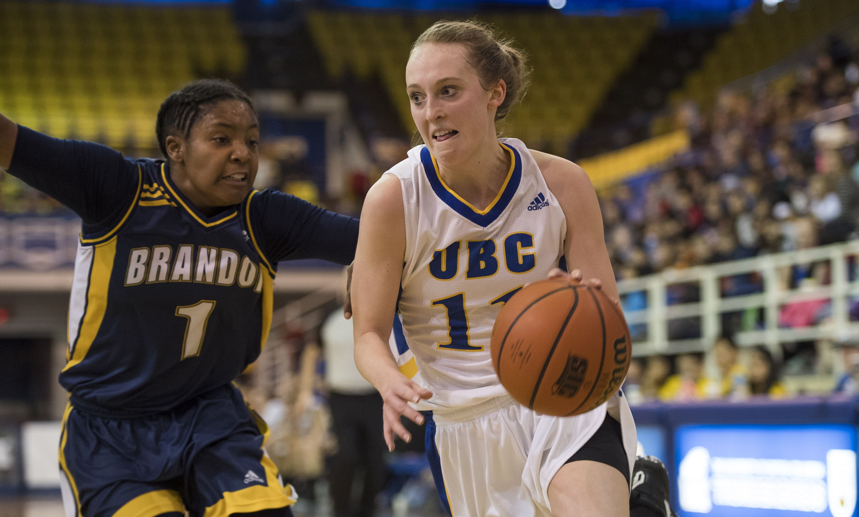 UBC Stars of the Week: Luka the Bazooka, Will Ondrik, Jessica Hanson ...