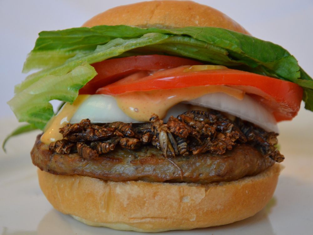 At the PNE: Crunchy cricket burgers clicking with fairgoers | The Province