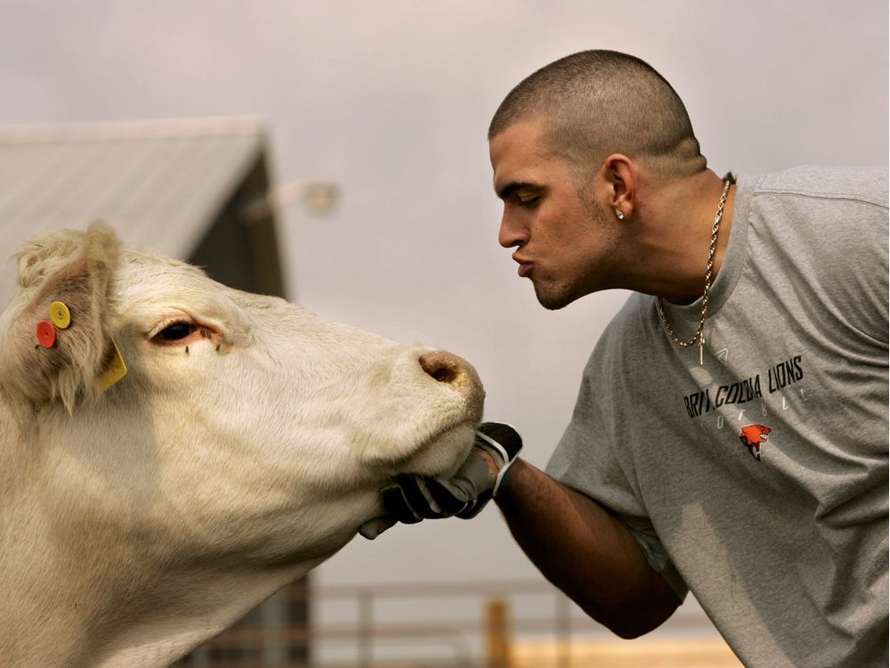 B.C. Lions bring back Ricky Foley | Vancouver Sun