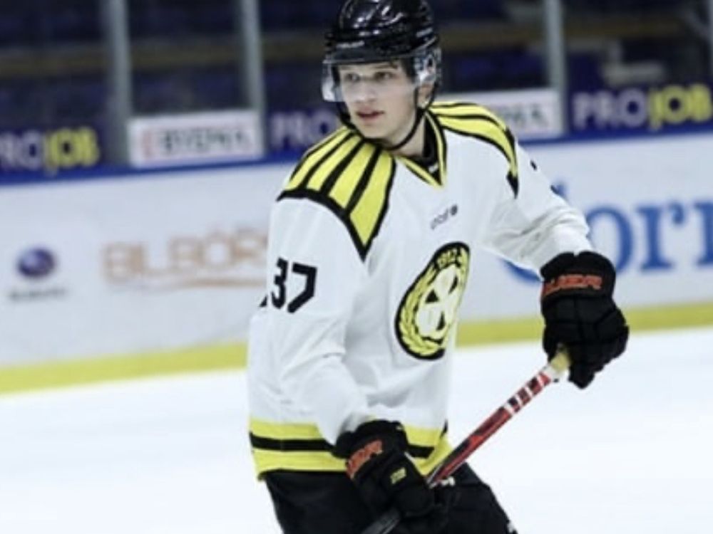 Canucks top 10 prospects: Viktor Persson an intriguing late pick | The ...