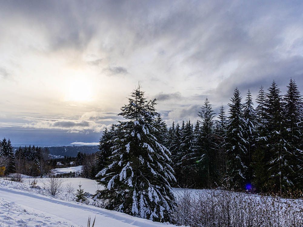 SHARE's toy shop program runs like a well-oiled machine | The Province