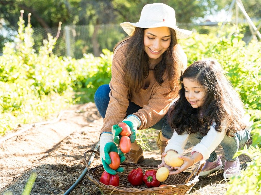 Tame a Wild Gardening Budget to Grow Your Own Food | The Province