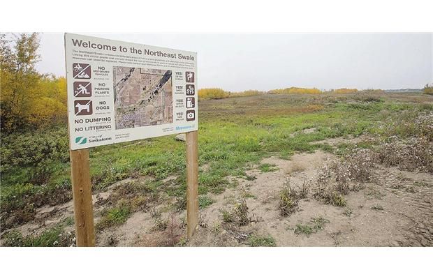 Saskatoon's swale plan doesn't go far enough, activists say | The Star ...