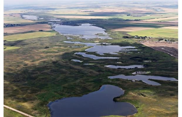 Op-ed: Pause to consider the future of the swale | The Star Phoenix