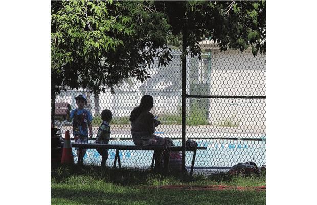 Shade Seekers | The Star Phoenix