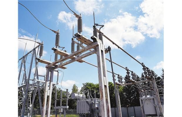 SaskPower critter-proofs equipment to prevent outages | The Star Phoenix