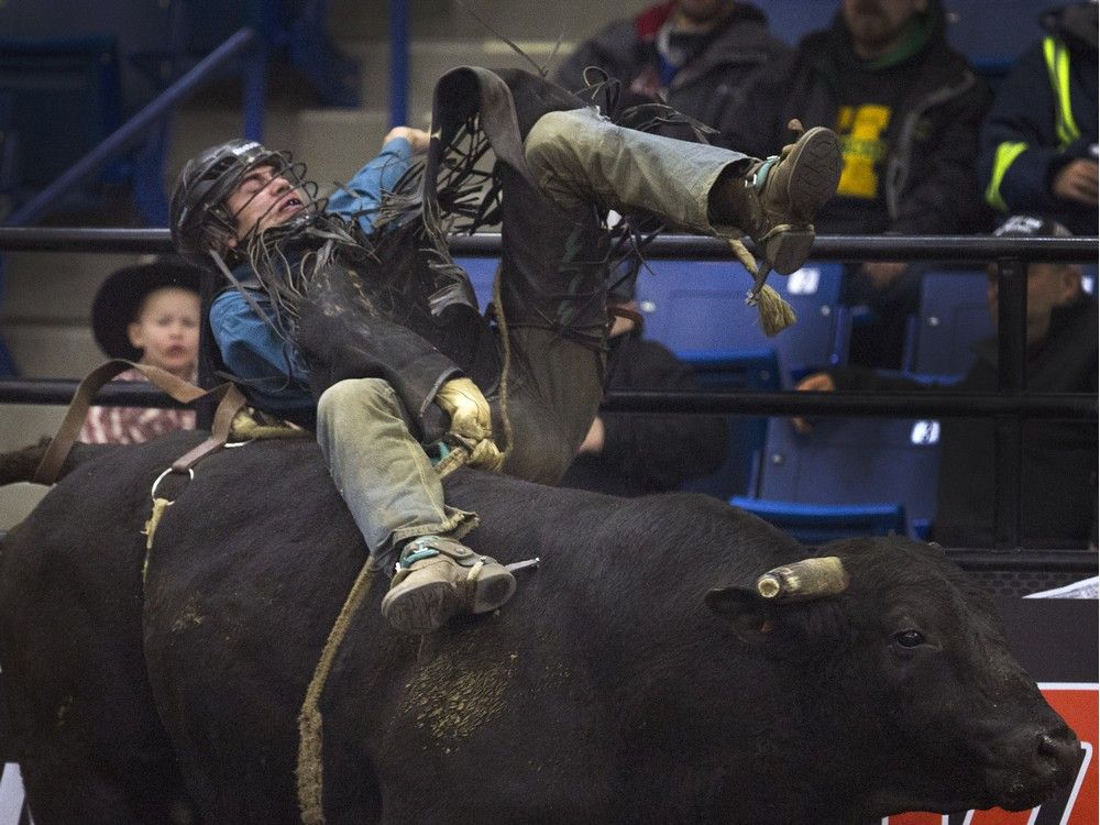 Gallery: Bull riders take flight in Saskatoon | The Star Phoenix