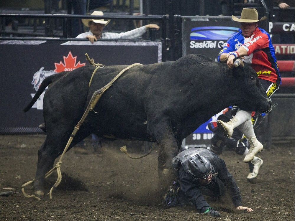 Gallery: PBR Canadian Bull Riding Finals in Saskatoon | The Star Phoenix