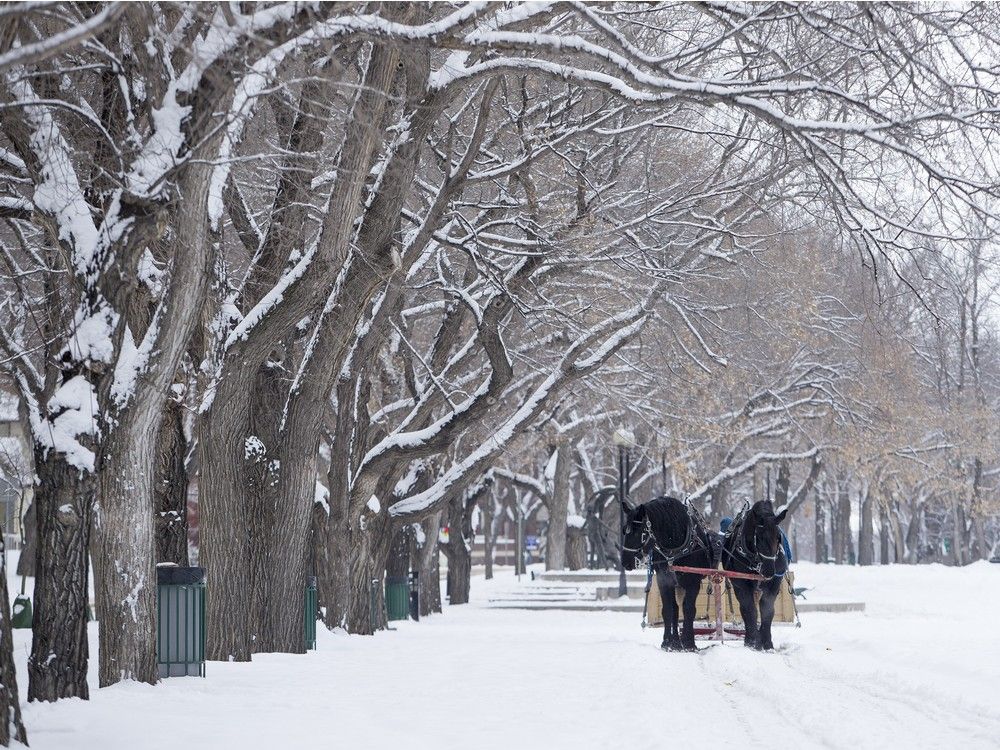 Gallery: Fun for the whole family at Meewasin Skating Rink | The Star ...
