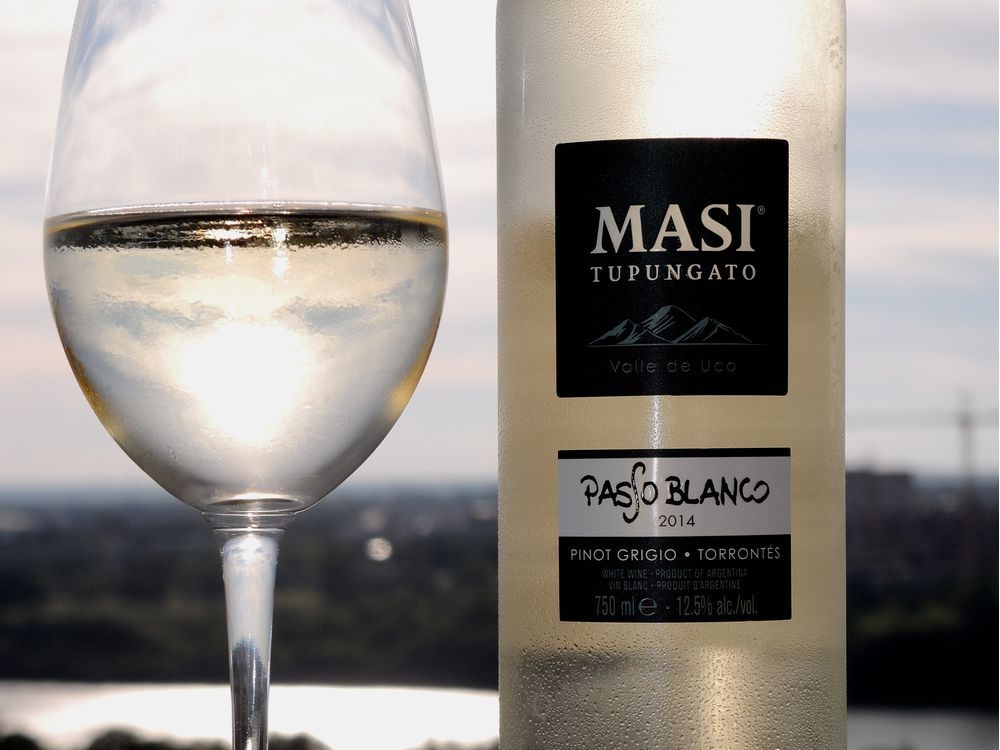 Masi perfects process for partially dried grapes | The Star Phoenix