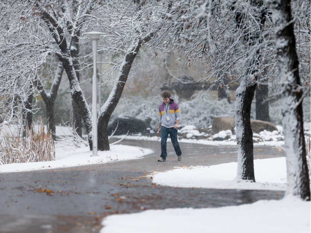 Saskatoon's weather for Saturday: High -7 C | The Star Phoenix
