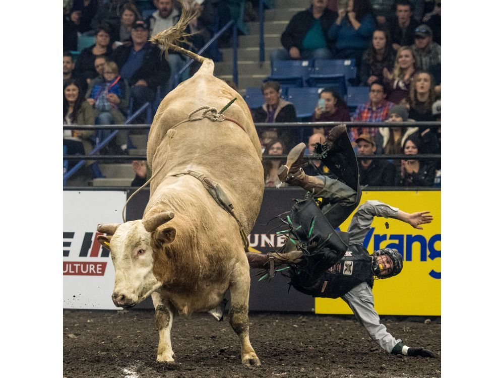 Gallery: PBR Canada in Saskatoon | The Star Phoenix