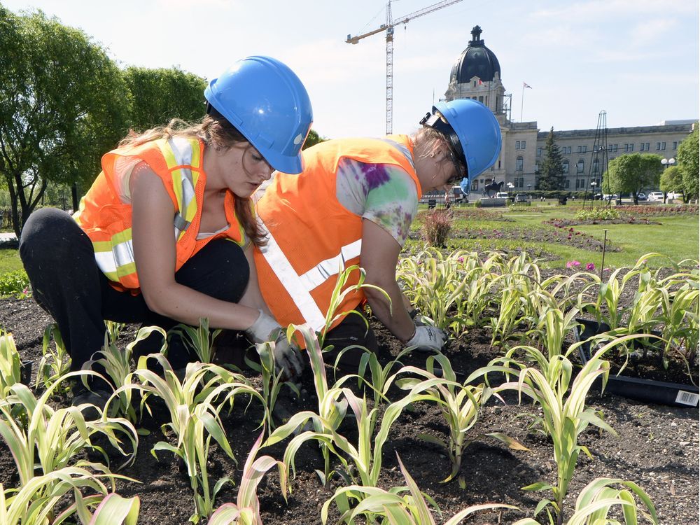 There's a new hardiness zone map for Canada | The Star Phoenix