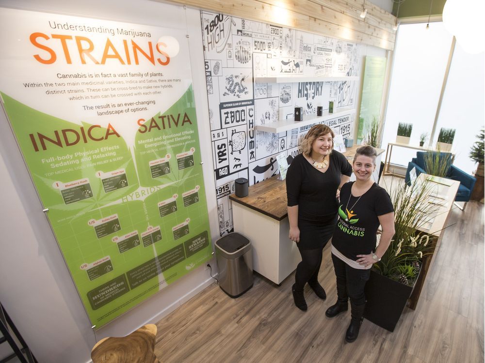 Medical marijuana business wants to dispel stigma on prescribed pot ...