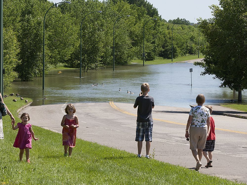 Committee launches climate change video | The Star Phoenix