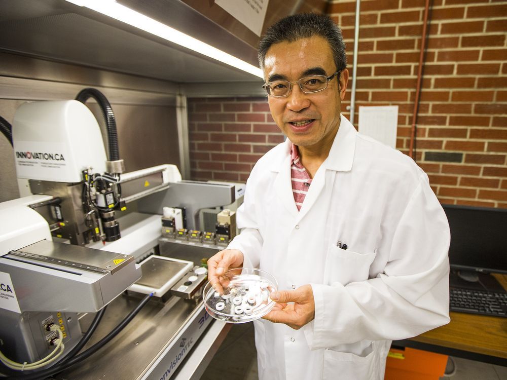 Daniel Chen: Building the future of tissue regrowth | The Star Phoenix