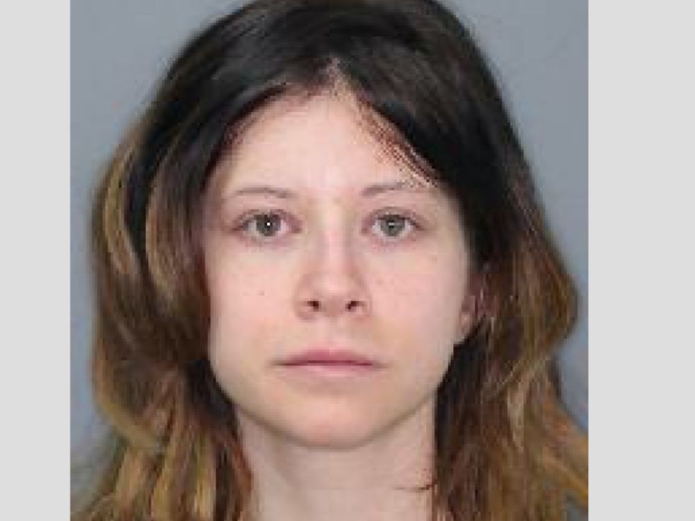 Suspicious package suspect 'surprised' by arrest warrant | The Star Phoenix