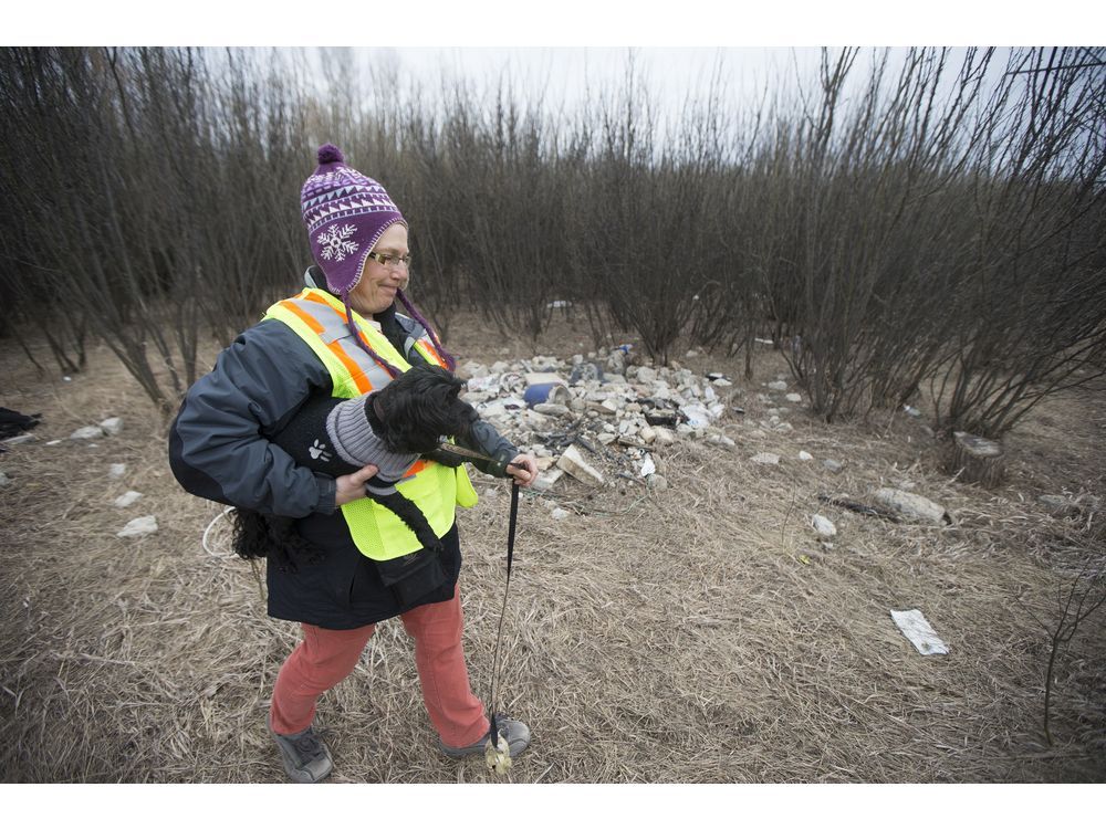 Concerns raised with police over southwest Saskatoon woodland | The ...