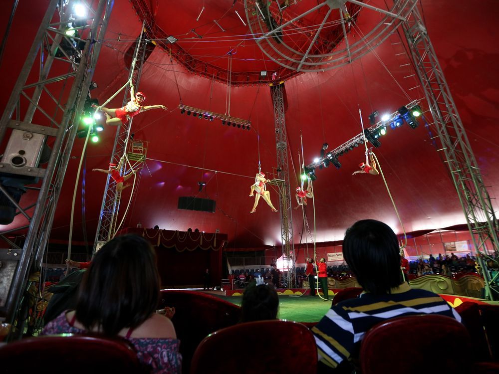 StarPhoenix Photos: The Royal Canadian Family Circus Spectac! July 3 ...