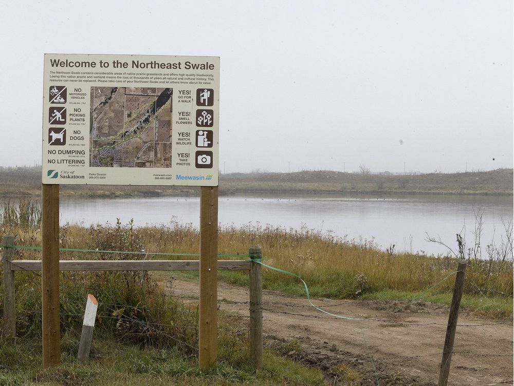 Saskatoon city hall proposes banning dogs from Northeast Swale | The ...