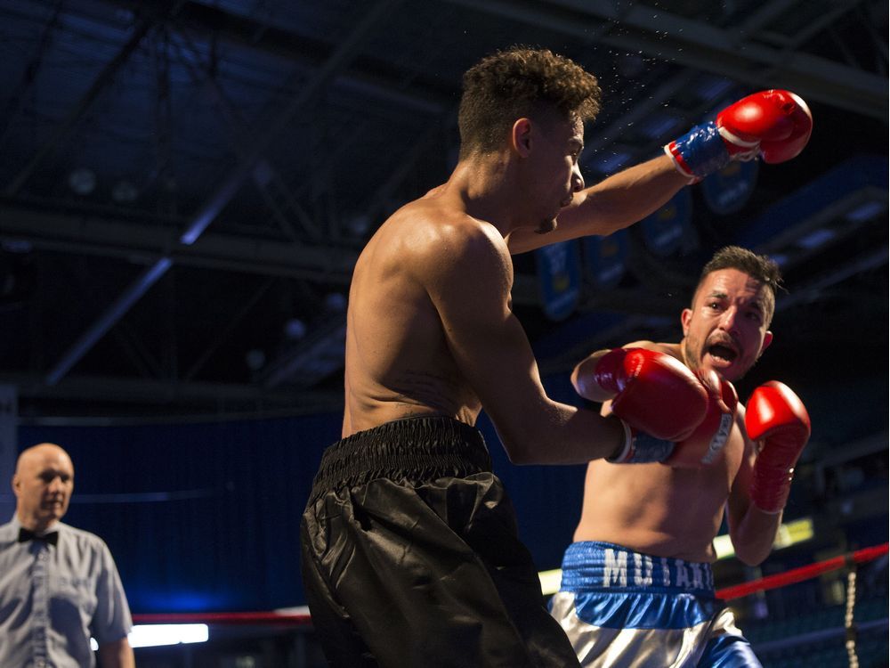 StarPhoenix Photos: Pro boxing in Saskatoon Nov. 25, 2017 | The Star ...